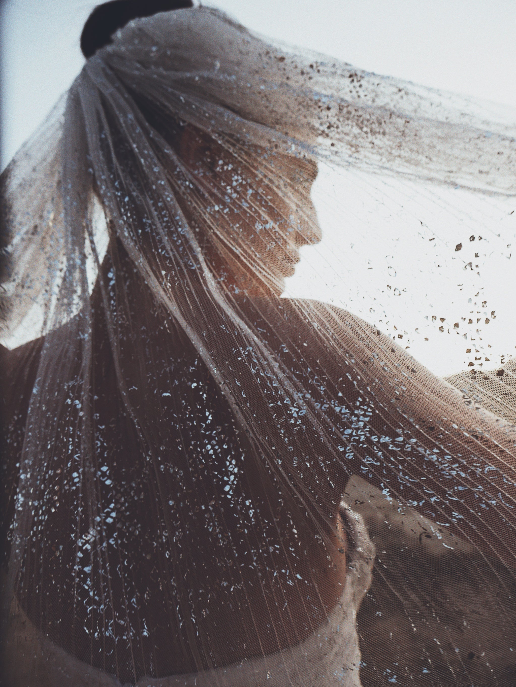 Starlight Veil | Lauren Elaine | Bridal Couture