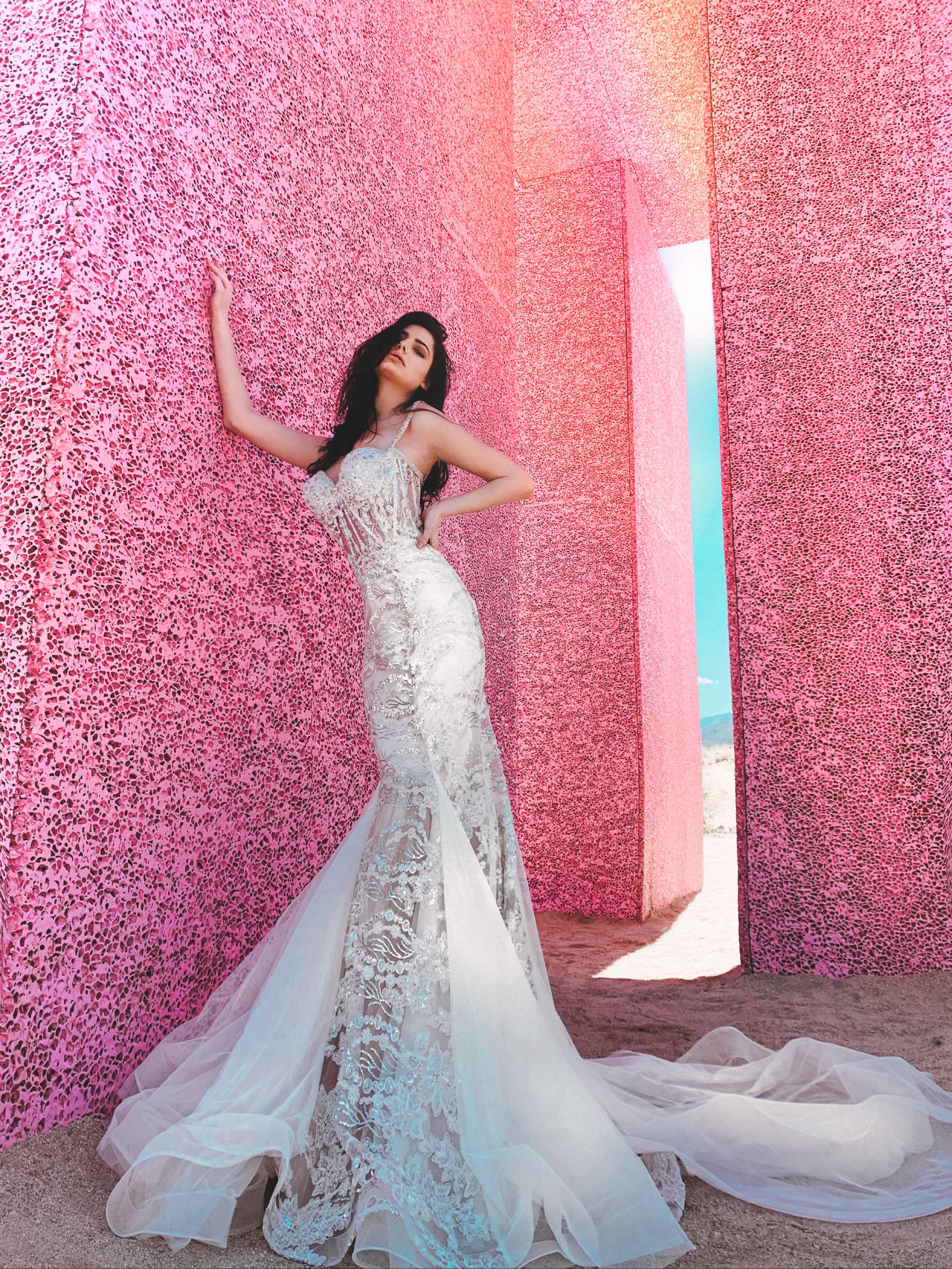 Lauren Elaine Titania | Sparkle Lace Bustier Mermaid Wedding Gown